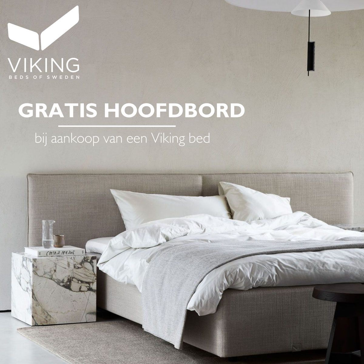 Hoofdbord actie Viking